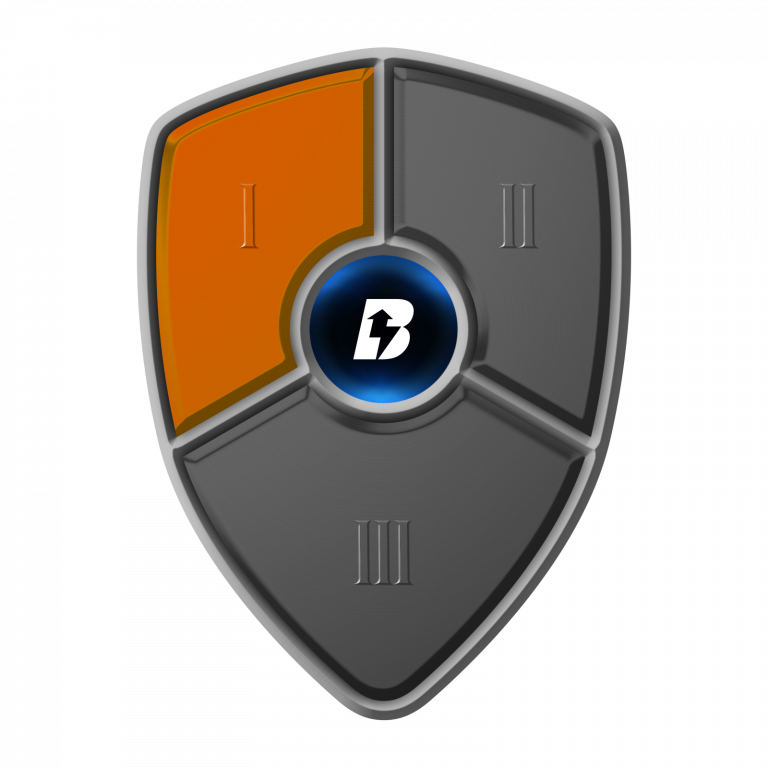 Bizzi - Double Your Business Cash Flow